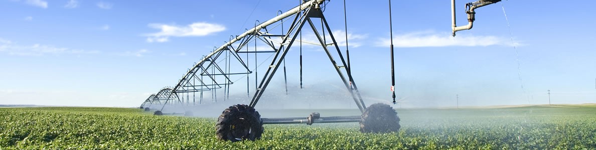 Payment Options | Mitchell EMC